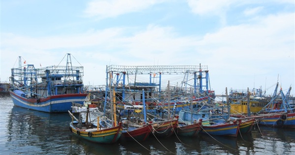 Nhiều “vùng xanh” của Bà Rịa- Vũng Tàu lên kế hoạch để ngư dân hoạt ...